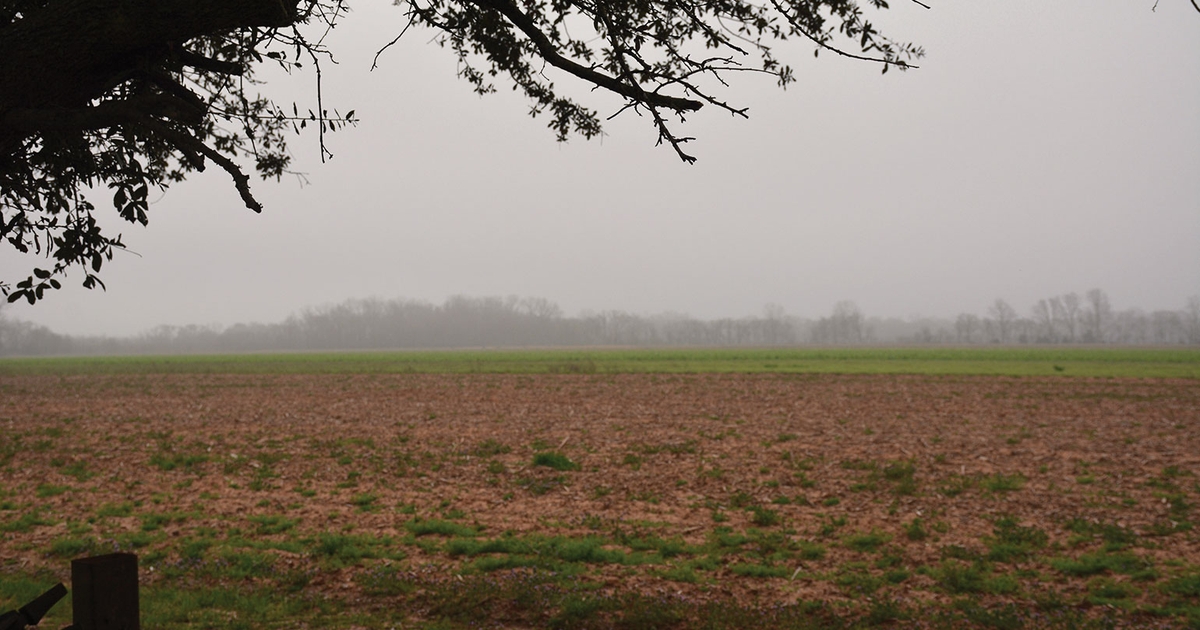 Before buying farmland, run the numbers