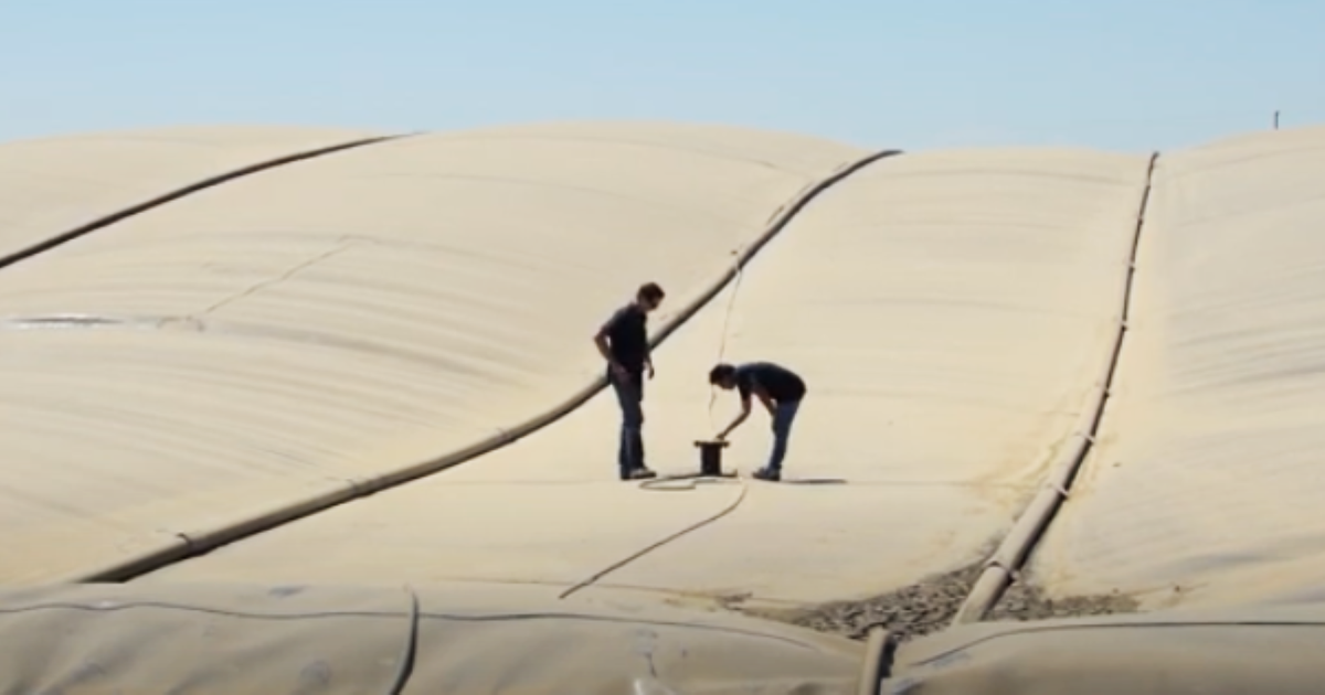 Dairy farmers generate renewable energy