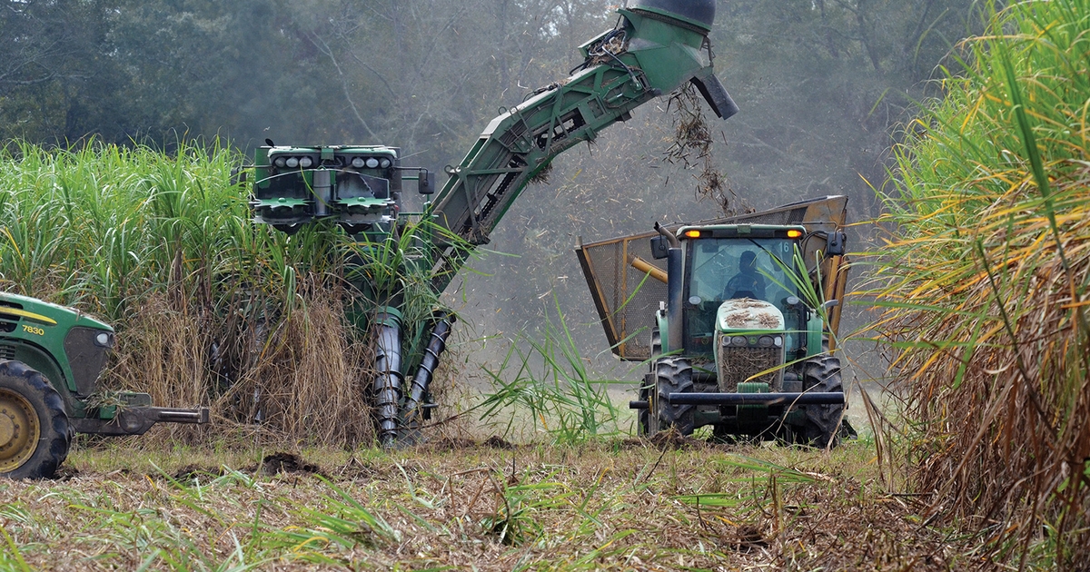 LSU AgCenter’s Legendre honored with professorship in his name
