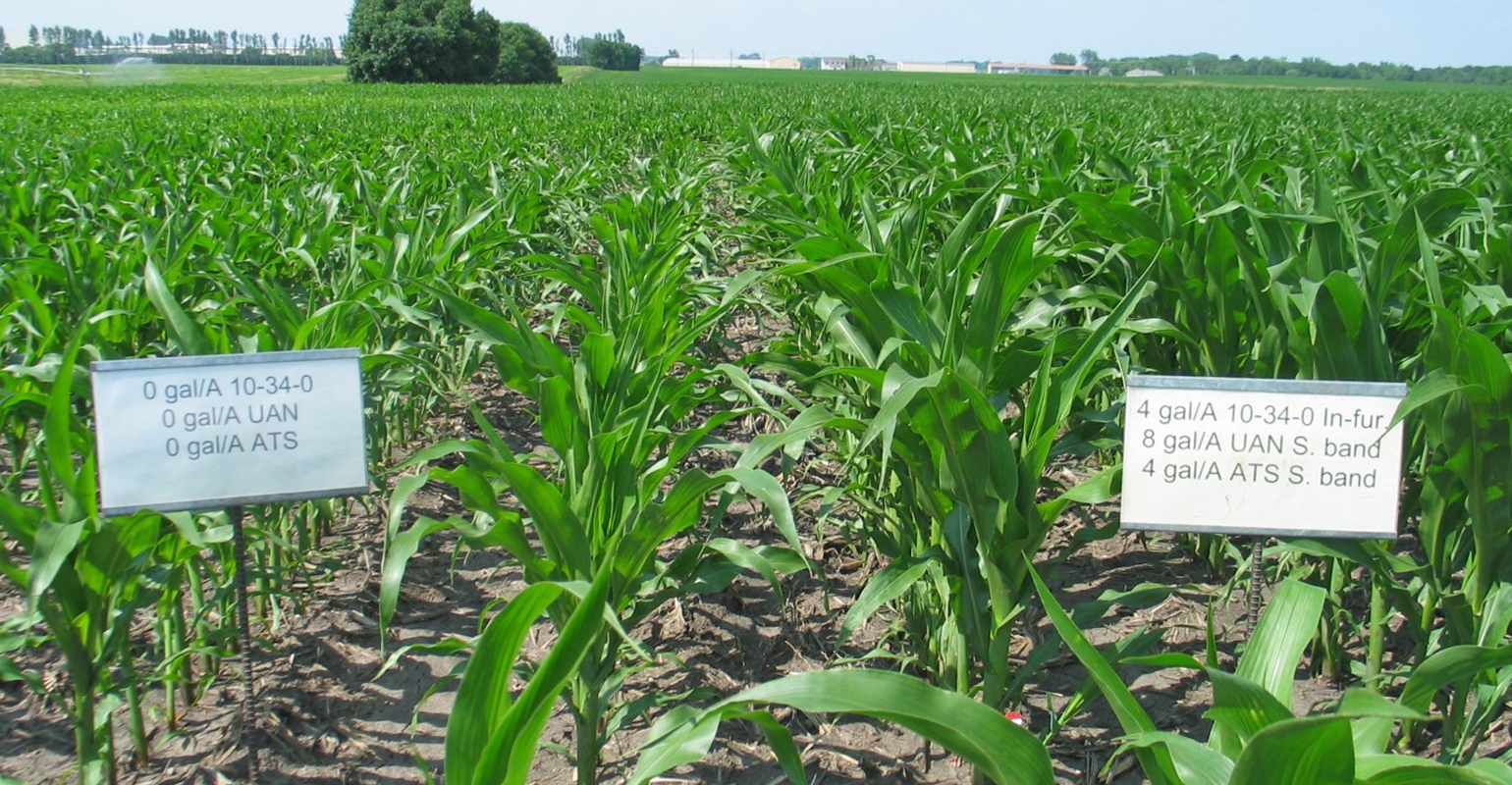 Should you use an in-furrow starter this year?