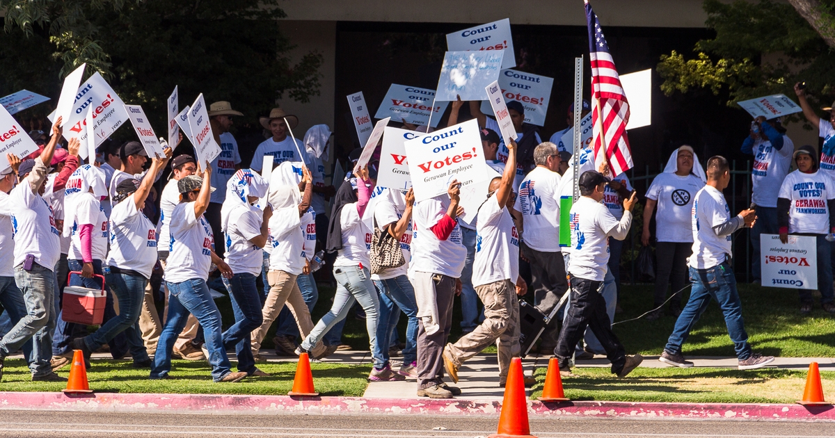 UFW loses vote in Gerawan Farming case