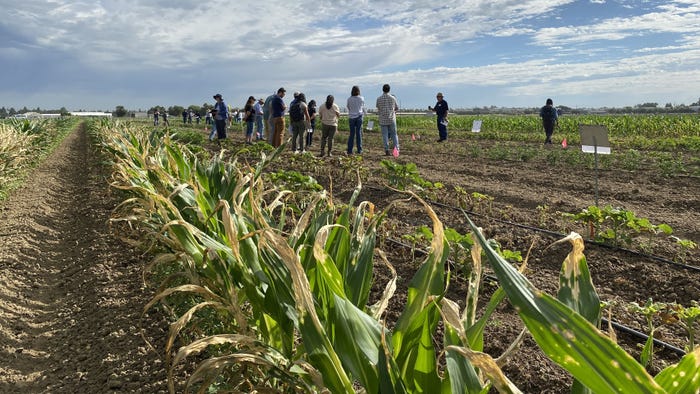 Fight Drought With Fill In Forages Better Grazing Utilization