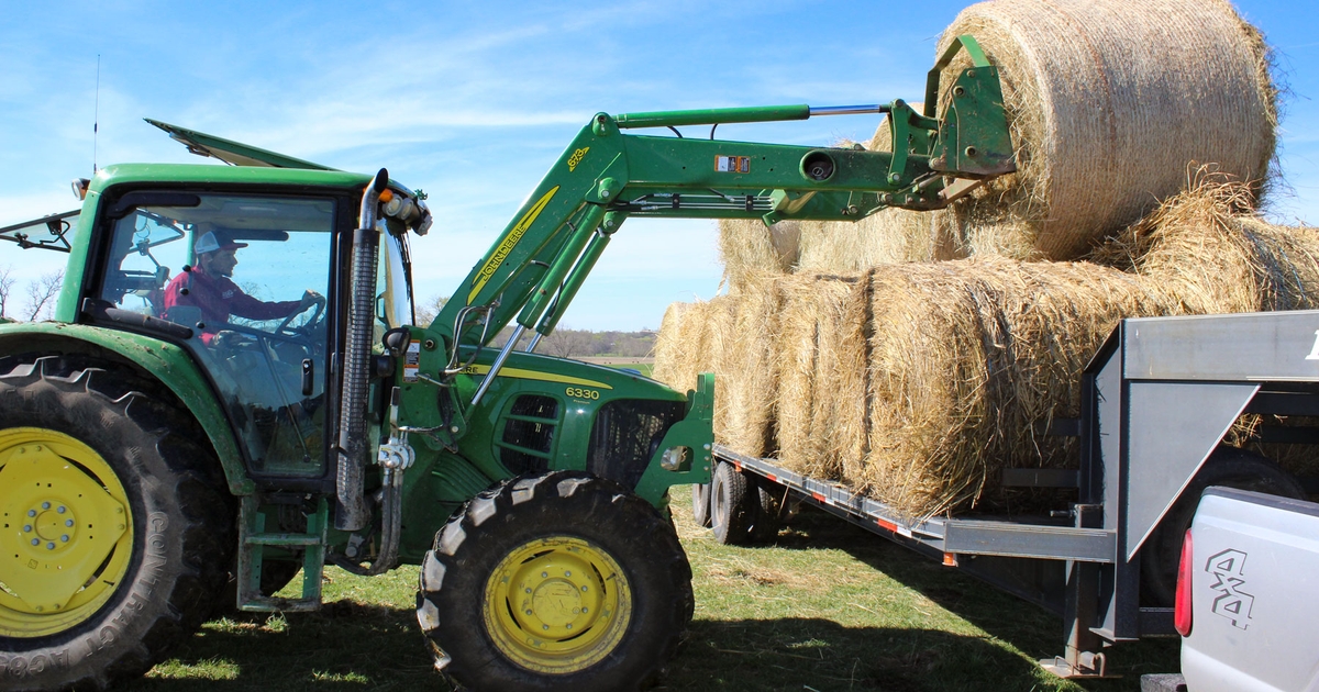Hay supply: Short and spendy