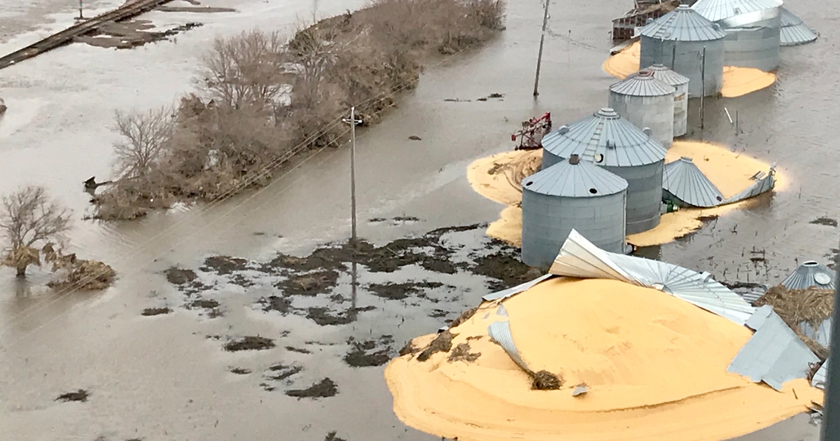 Apply flooded grain — and nutrients — to farmland