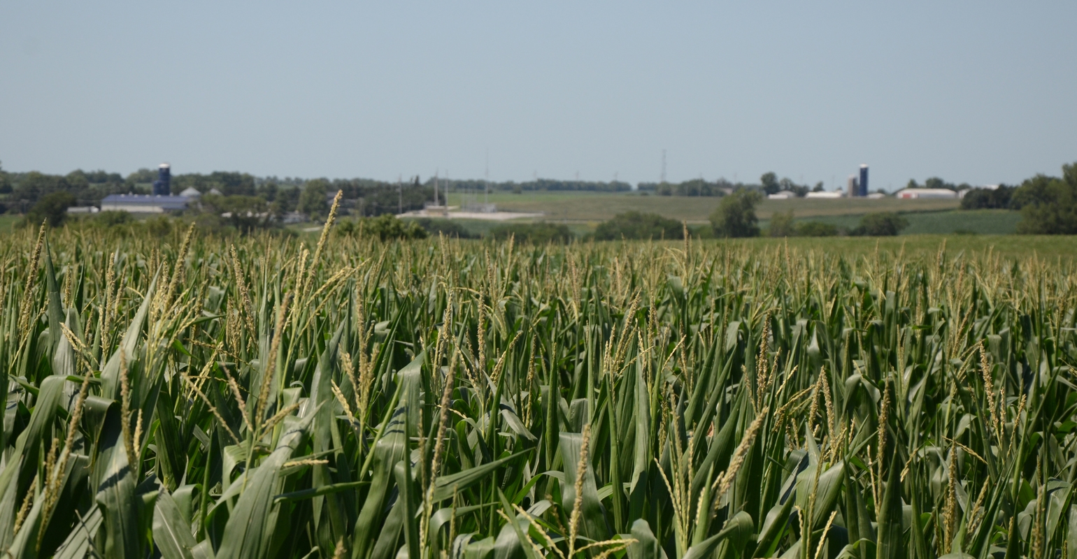 Tips for terminating verbal leases