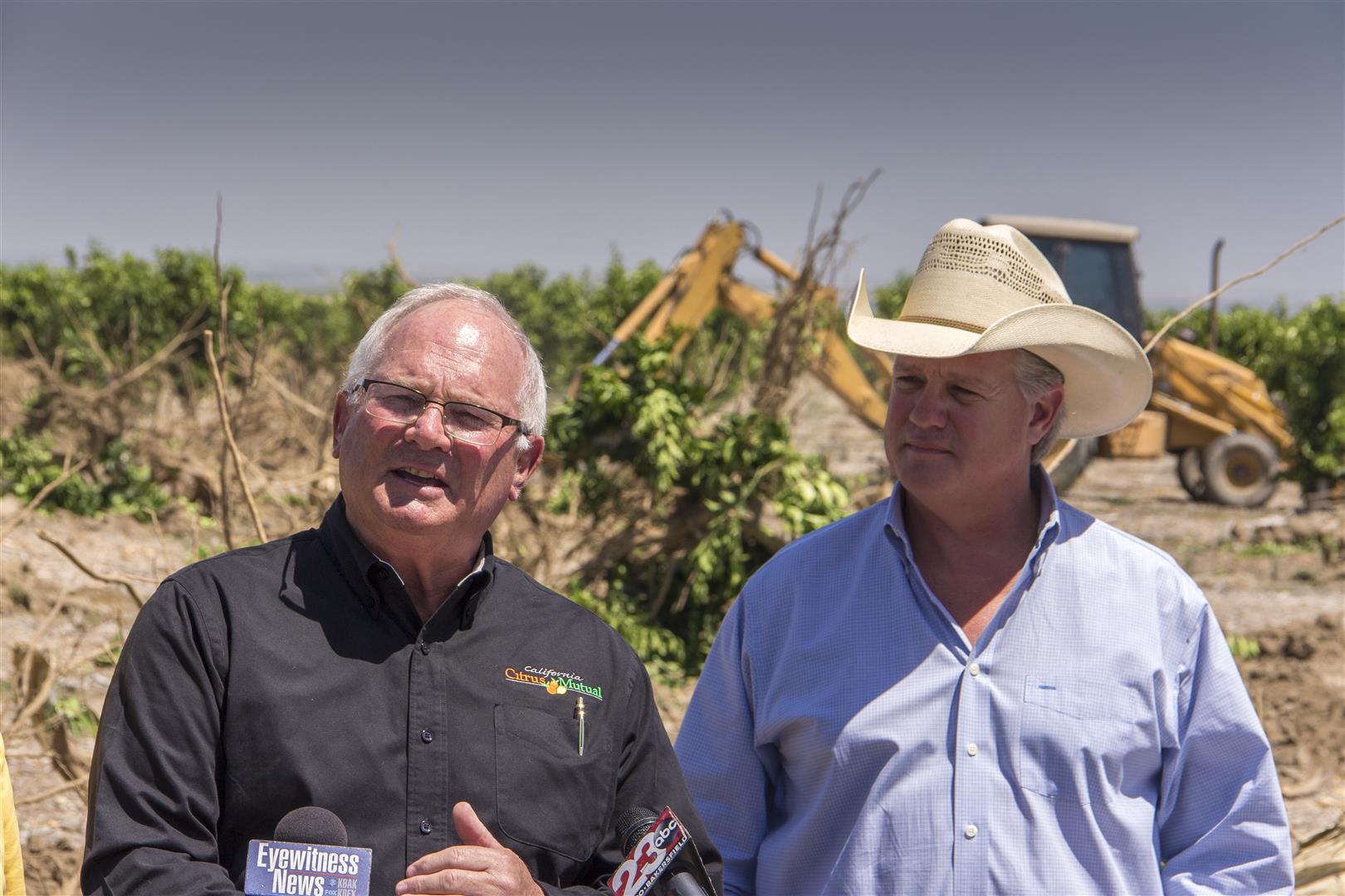 CCM branding campaign goes 'Citrus Strong'