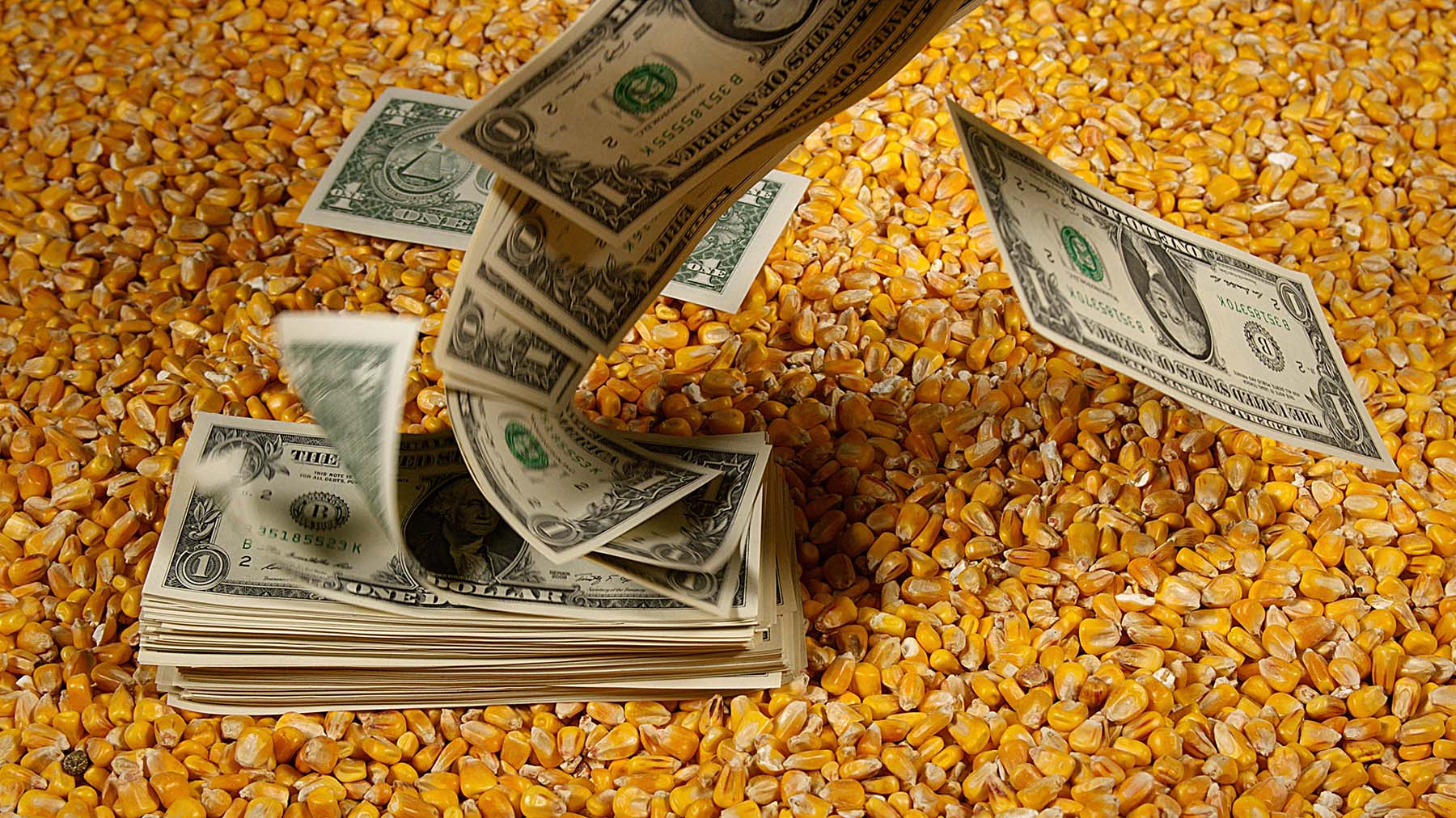 Row crop farmers mark 3rd year of economic strain