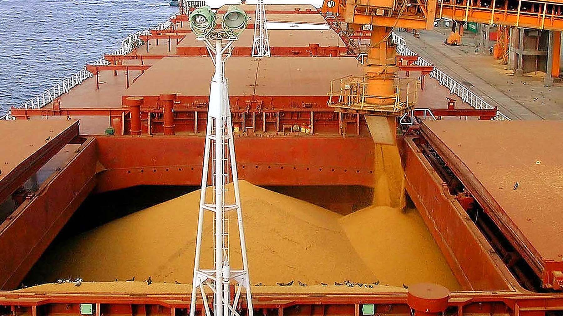 Weekly Grain Movement: Corn commands strong results