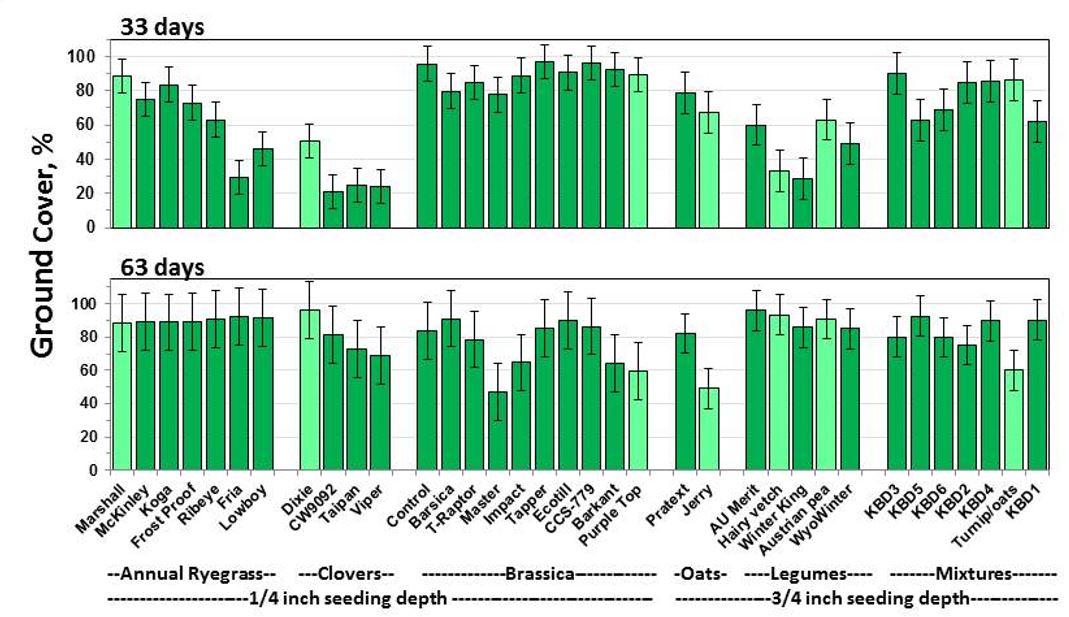 Variety matters in cover crops