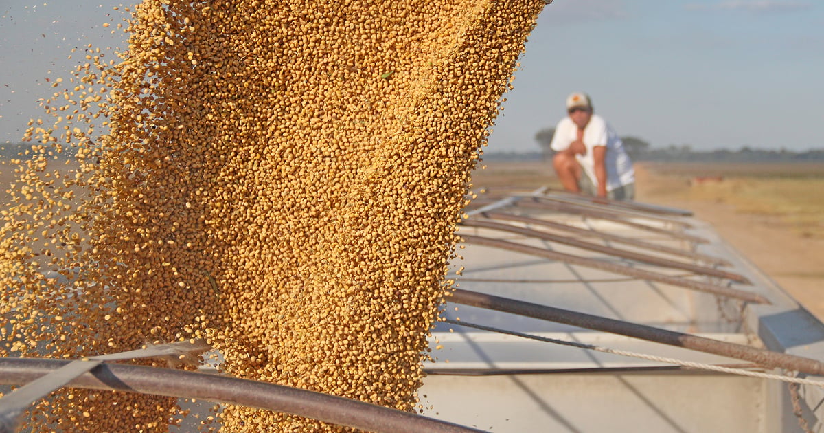 Soybean numbers at record pace, cotton and corn close to records