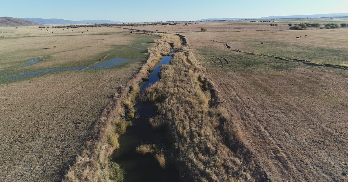 Oregon ranch habitat project scores $1.3m grant