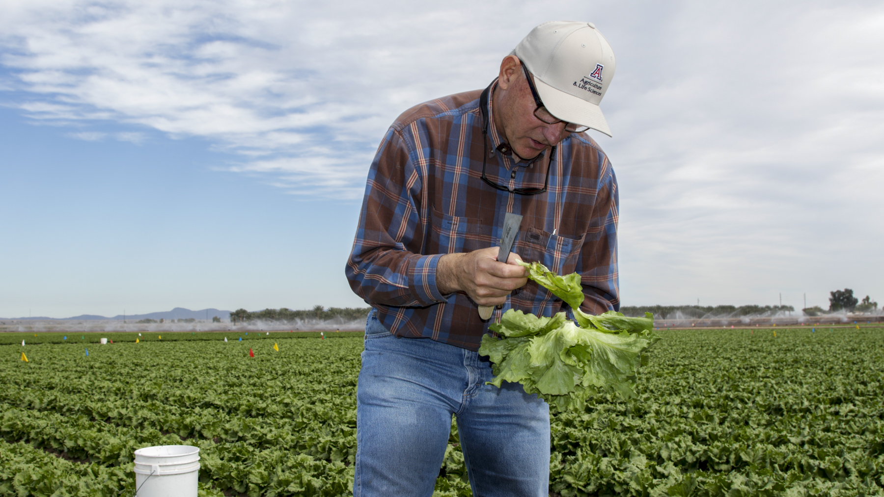 Wisconsin Agriculturist