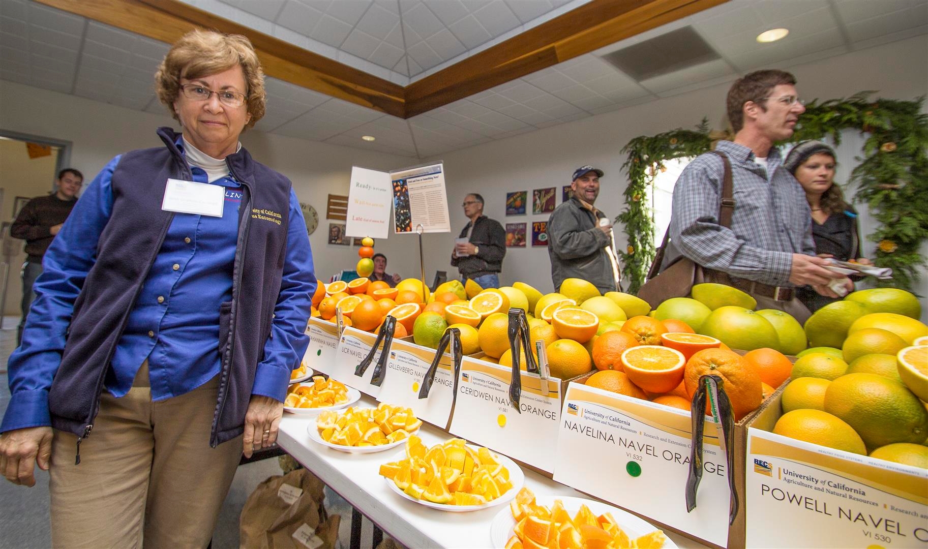 Freeze damage, drought line up against California citrus