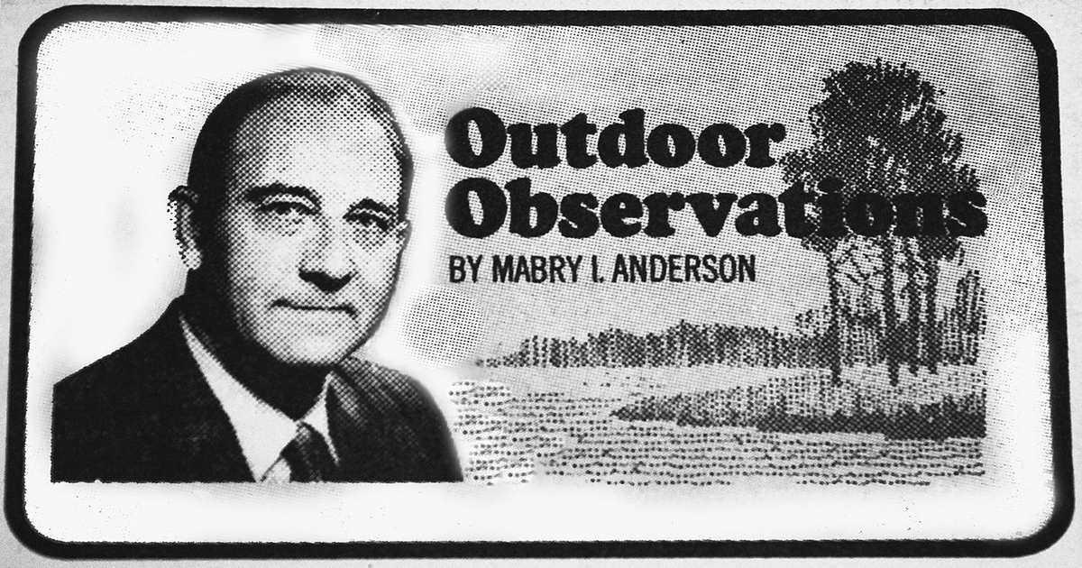 Mabry Anderson: Two loves – flying and the great outdoors
