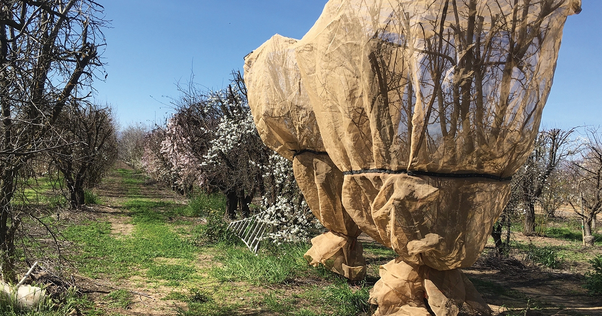 Wolfskill Experimental Orchard earns praise