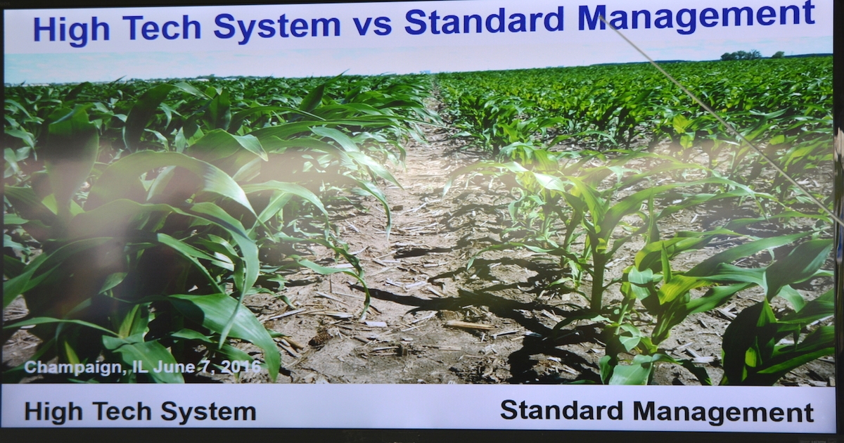 Management practices for high-yield corn | Farm Progress