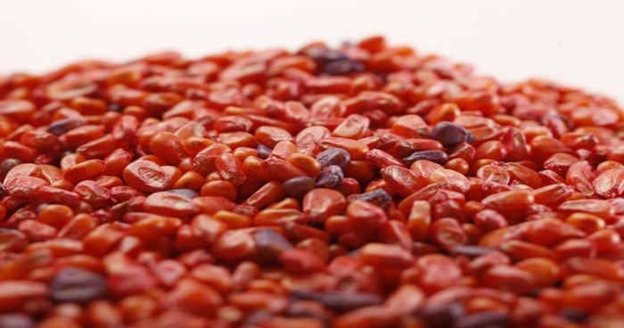 Selecting the right ybrids