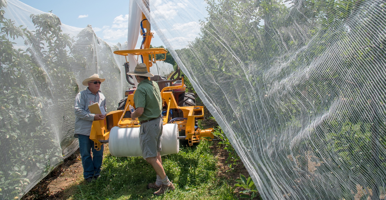 New York growers testing hail netting in orchards