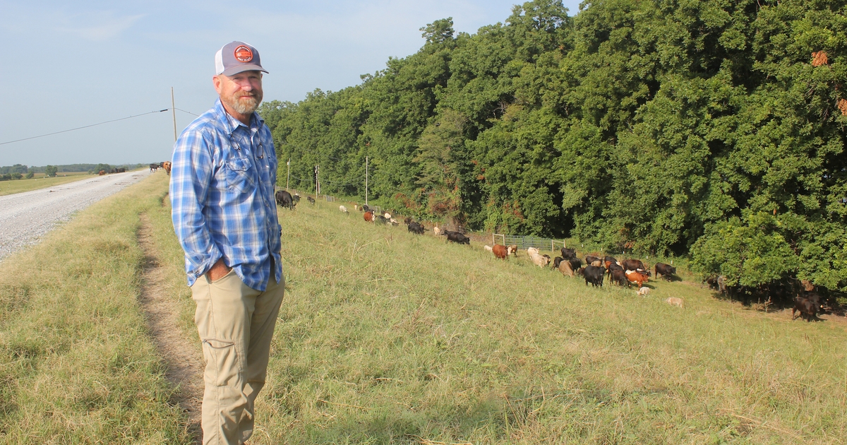 Veteran turned farmer finds success on the levee | Farm Progress