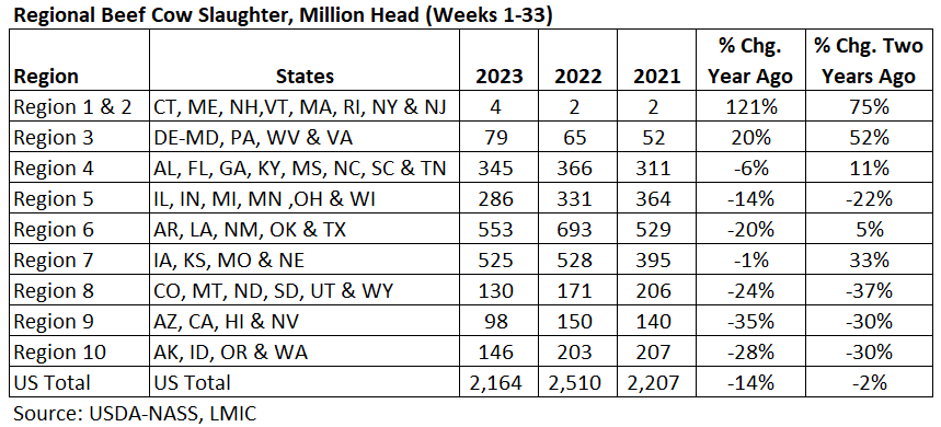 Beef cow and heifer slaughter still high by historical standards