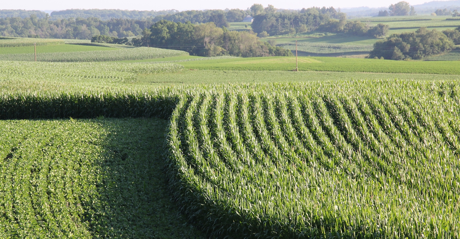 Setting up farm easements