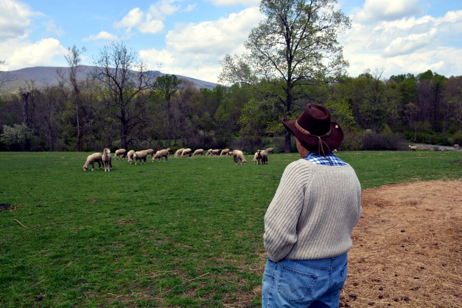 A leadership lesson from a shepherd who is an attorney