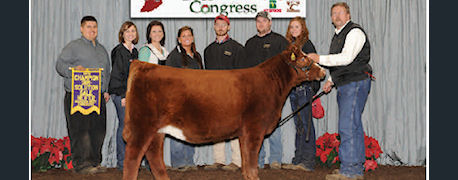 Purdue University Beef Unit Will Hold Production Sale