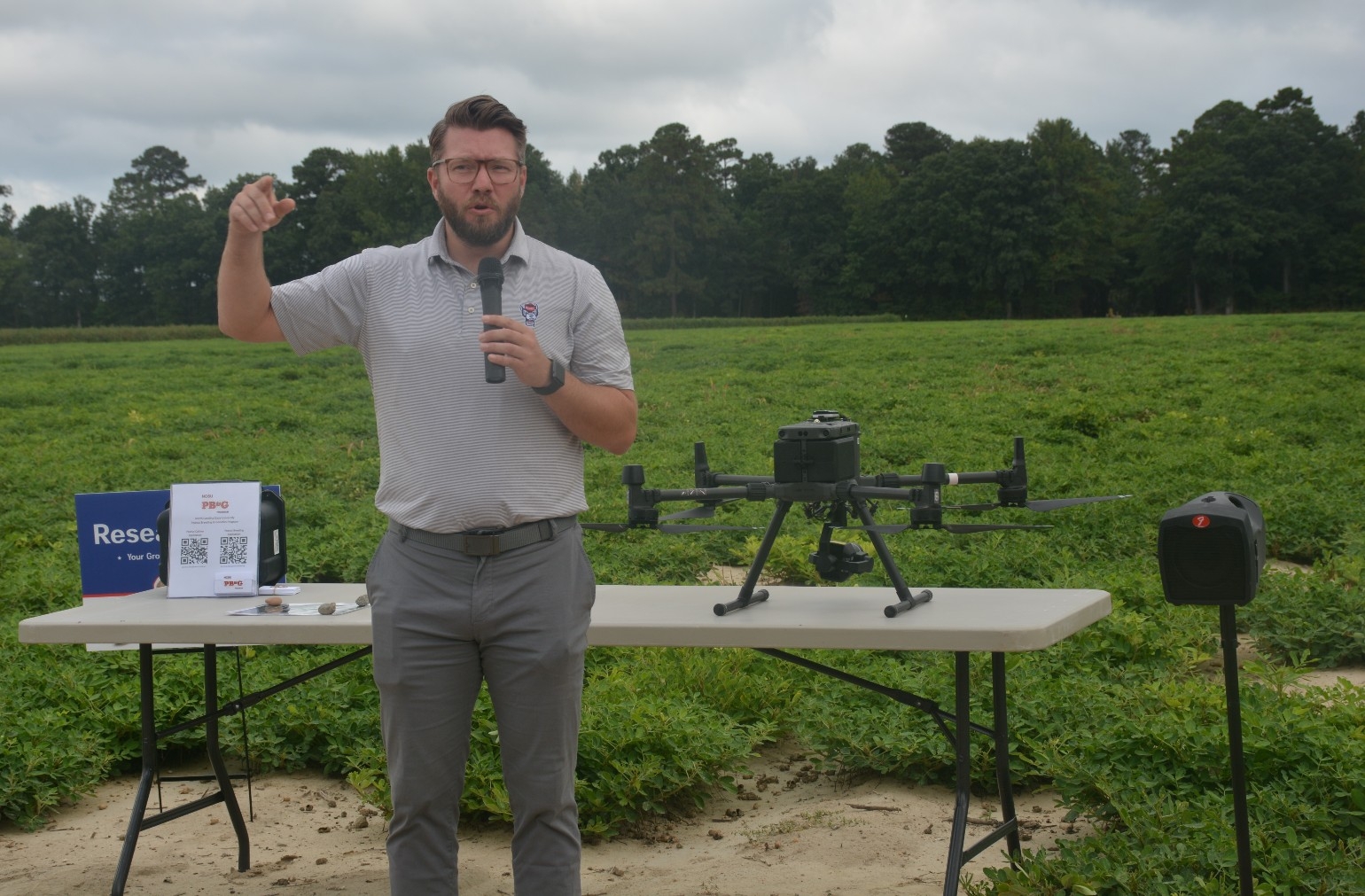 New later-maturing peanut lines coming