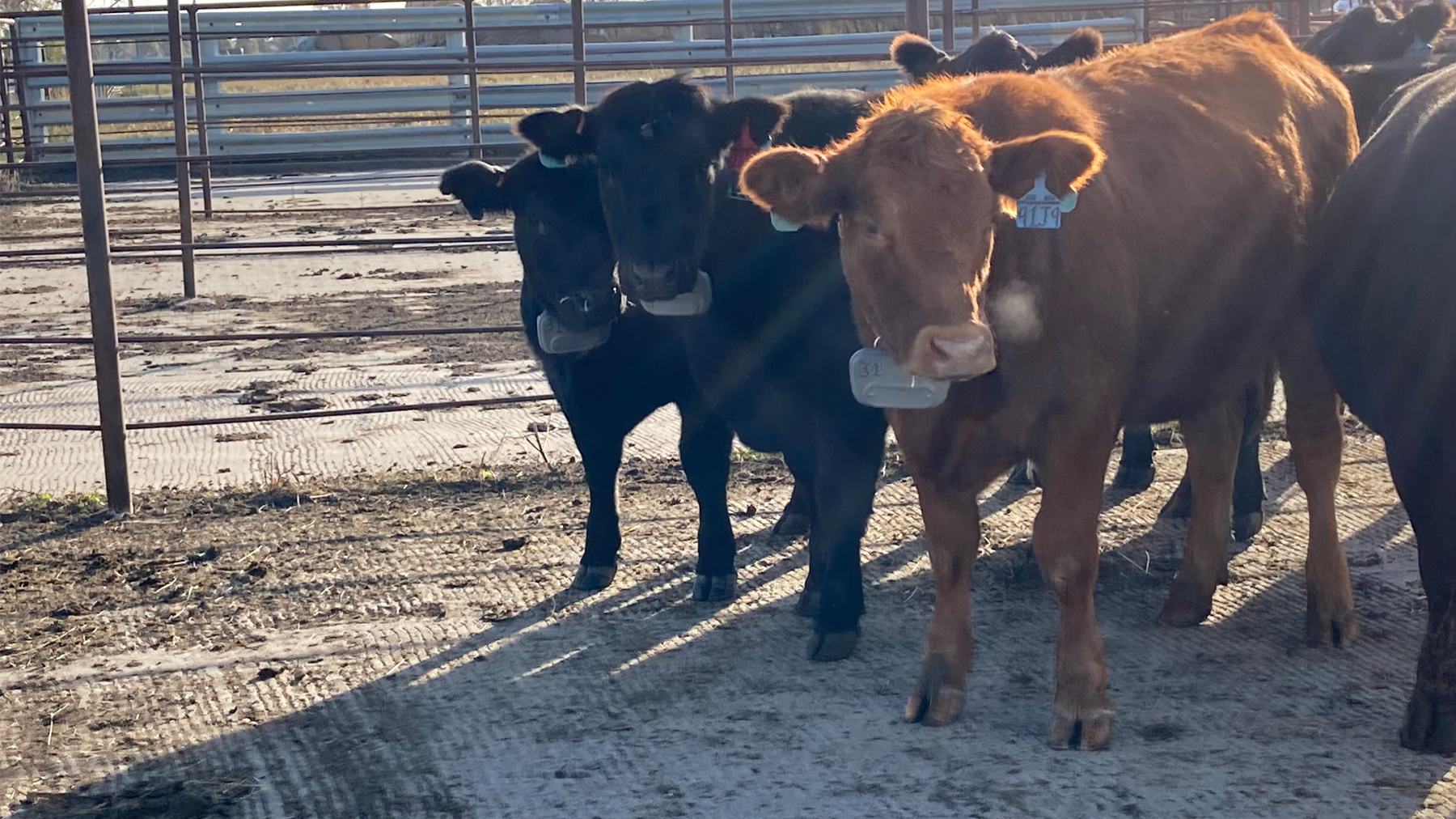 Where are the best places to farm in U.S.?