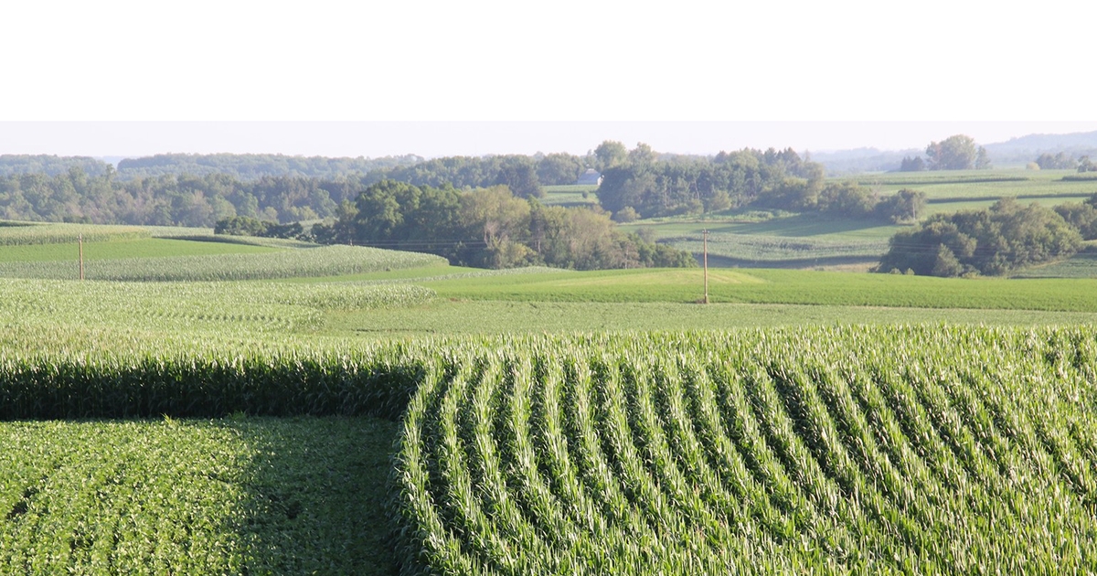 Wisconsin is nation’s leader in corn silage
