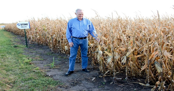 The row narrows: Testing 12-in. corn rows | Farm Progress