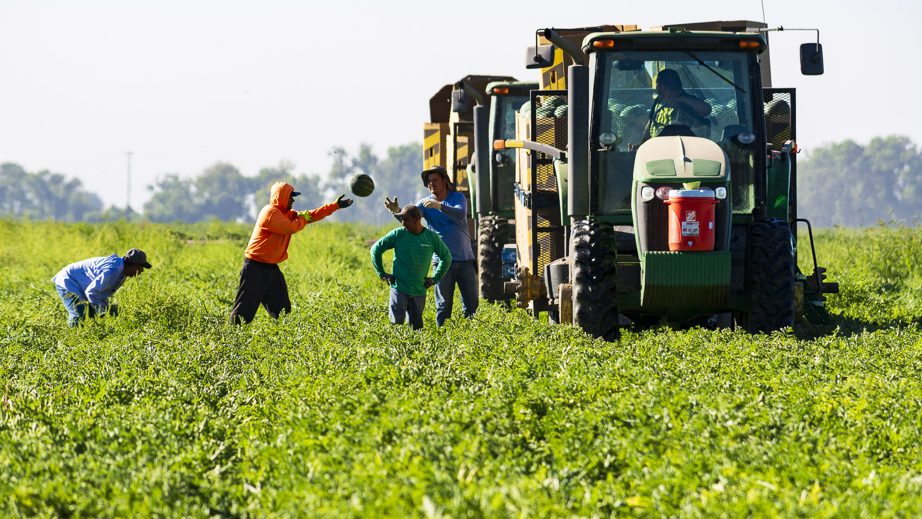 Fresno County agricultural sales exceed $9 billion
