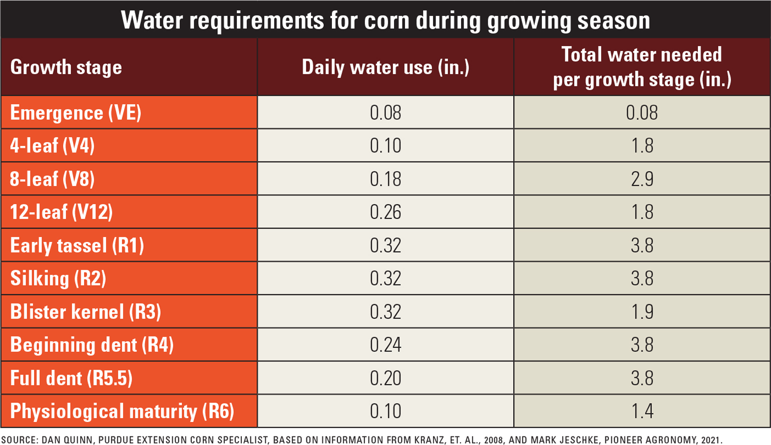 Heat, drought stress impacts corn in 2022