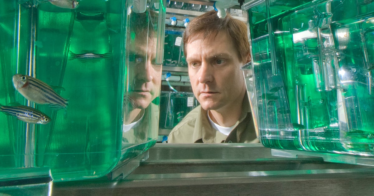 Find to help shed light on chem exposure impact