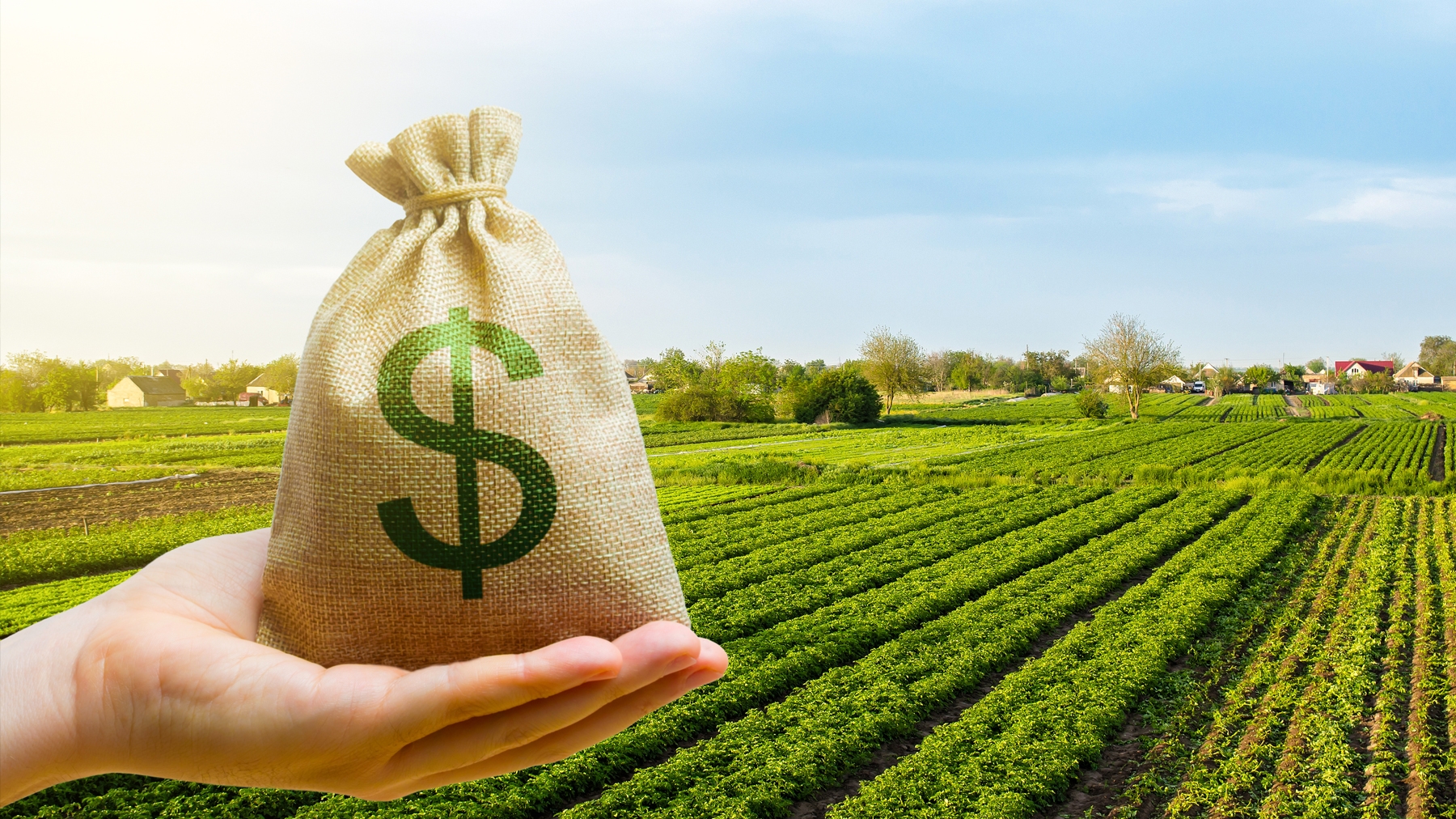 Survival strategies for declining farm income