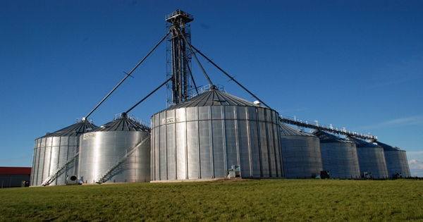 4 tips for keeping stored corn, grain in top shape