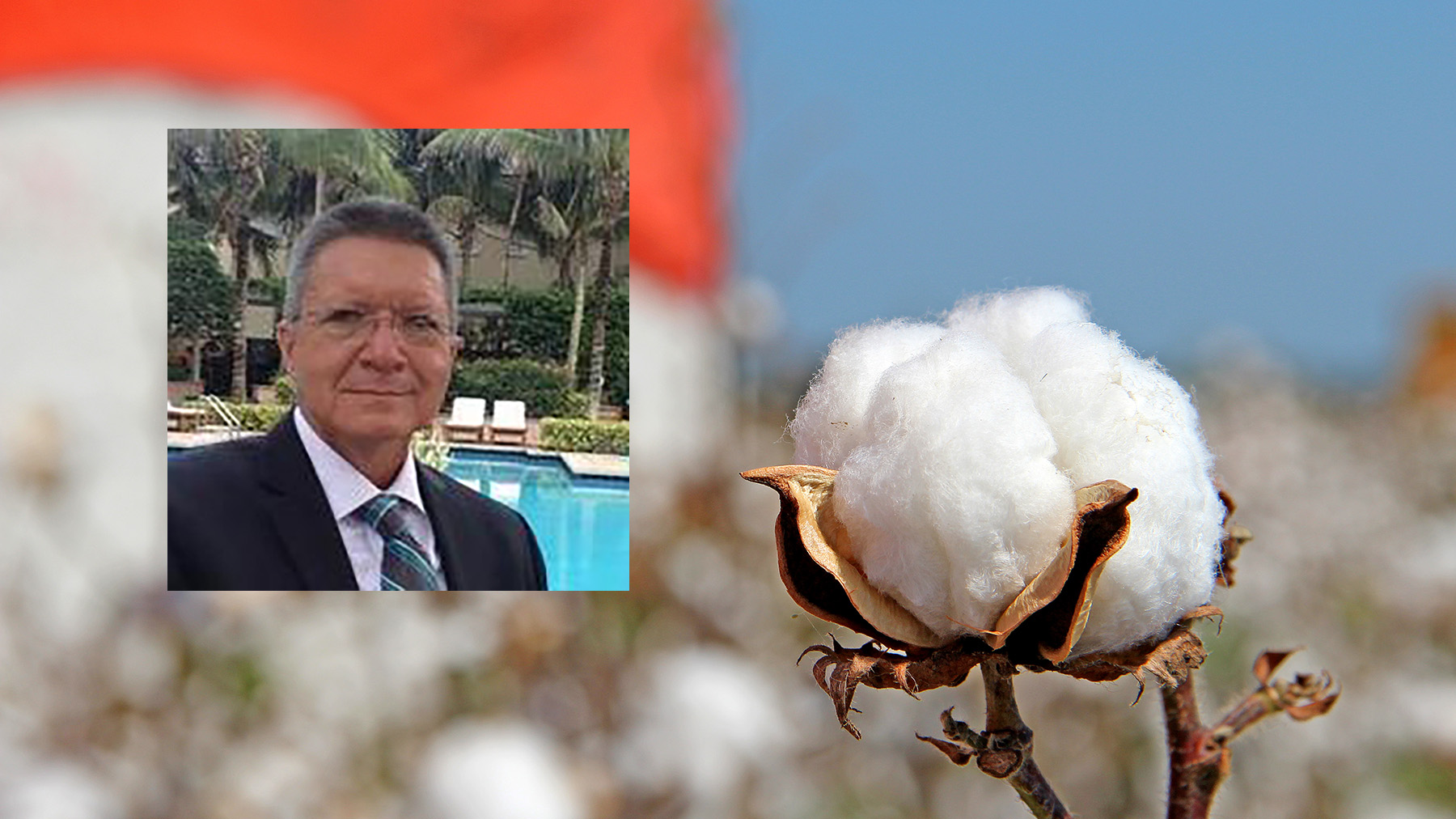 Cotton recent news | Farm Progress