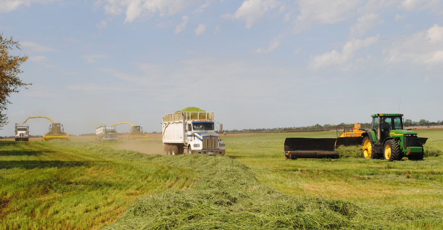Conference focuses on small-grain silage