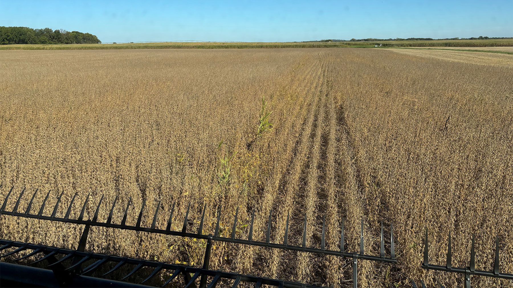 Case IH introduces 2 new large-capacity combines