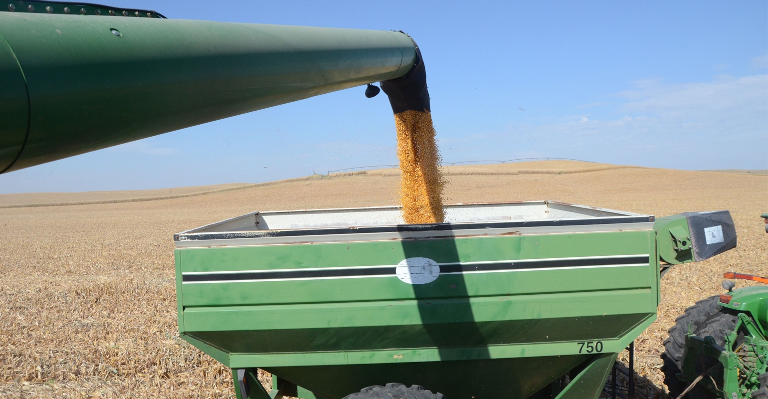 Develop grain marketing plan in 5 steps