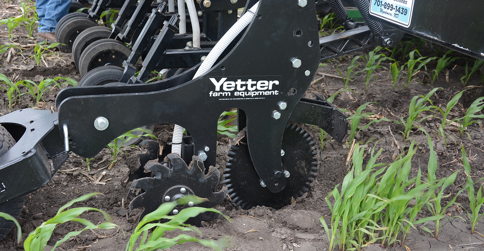Interseeding options