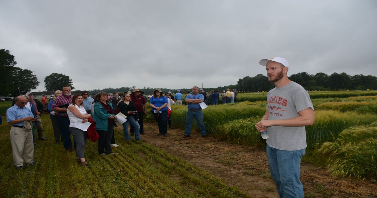 Malting barley varieties suited for Virginia