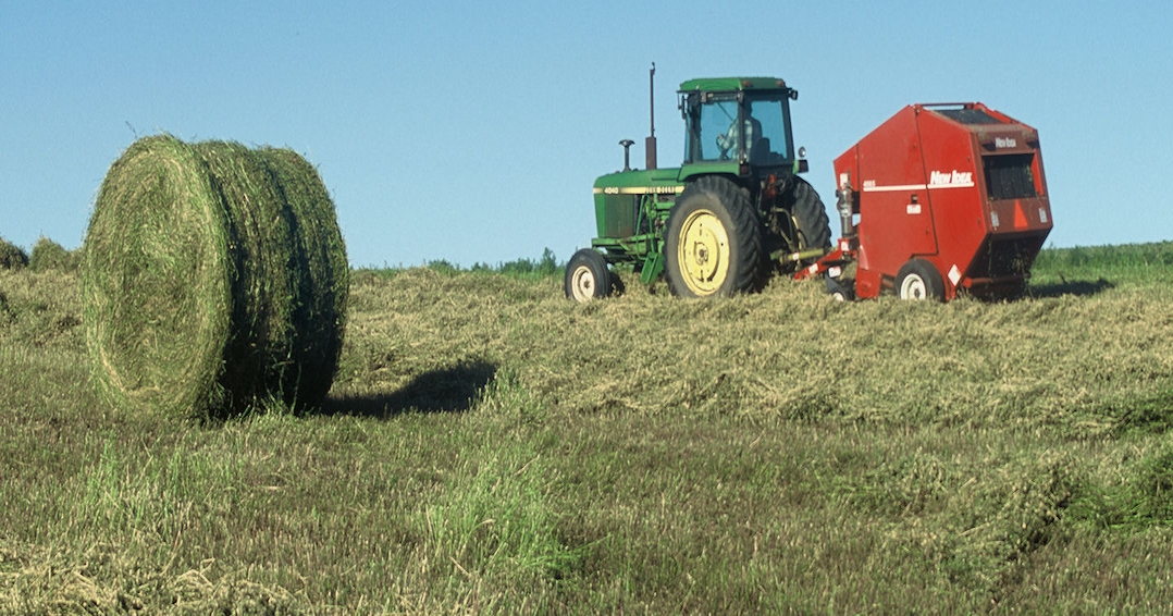 Best Way To Feed Hay