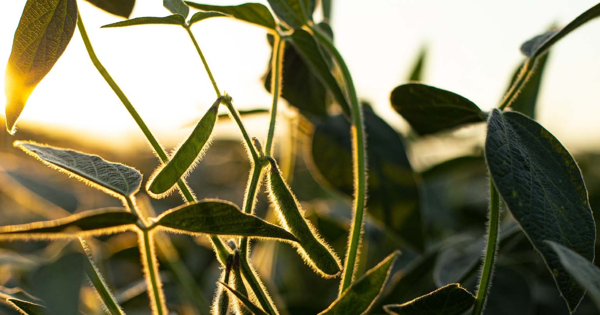 Enlist® system updates