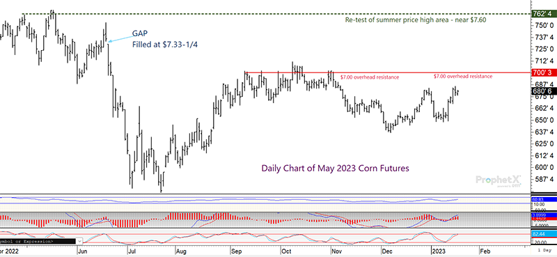 Got corn in the bin? Wondering when to price?