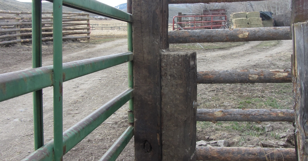 Corral gates need to be sturdy