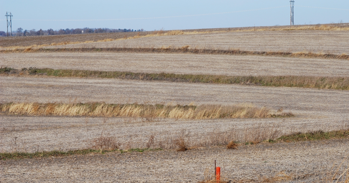 Apply now for CSP, EQIP