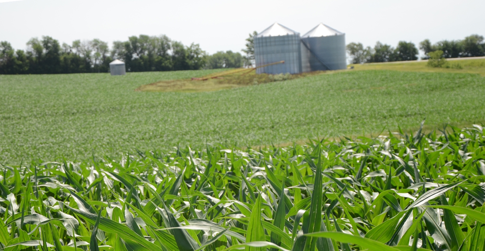Agriculture's economic impact on Nebraska