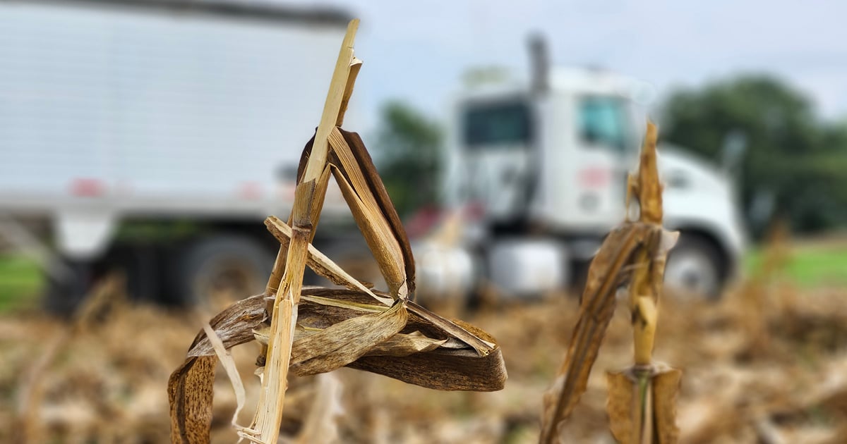 October harvest complete as fall field work begins
