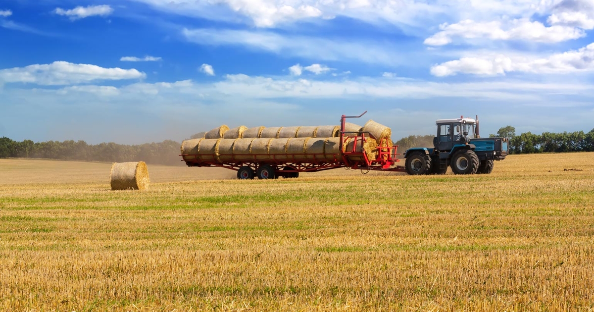 Tips for buying and selling hay